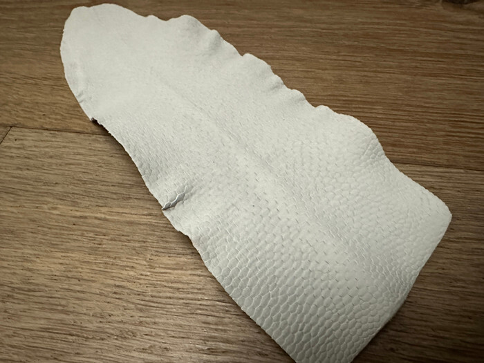 Genuine Beaver Tail Crust Hide Skin Leather exotic fish shark Tanned ...