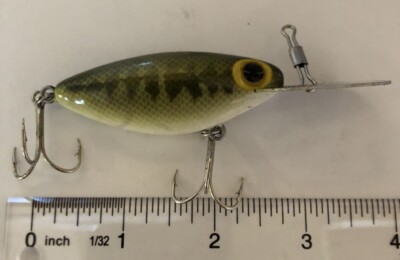Storm Thinfin Hot-N- Trot Fishing Lure Bass Pattern | eBay