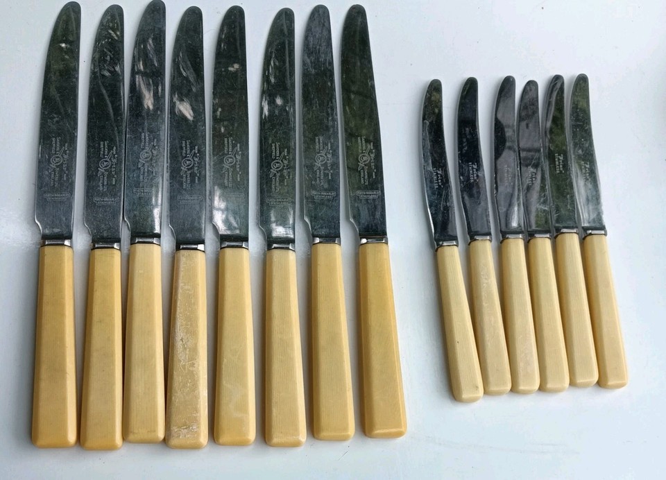8 Vintage Faux Bone Handled DINNER Knives + 6 Tea Knives Sanders ...