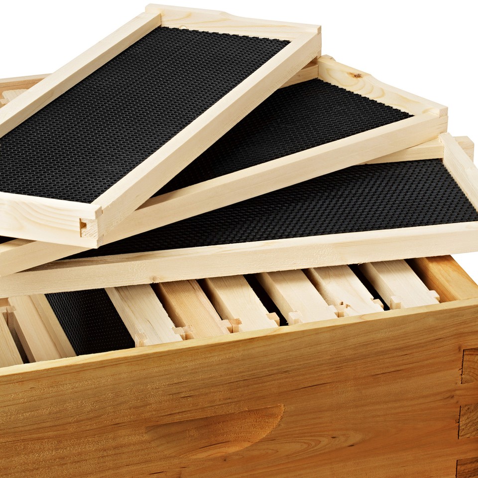 100% Beeswax Beehive 10 Frame Add-On Super, 10 Deep Frames Langstroth ...