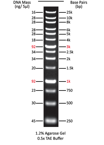 Extra-large 1 kb DNA Ladder (0.5 ml, 250bp-25kb, Ready-To-Use) for ...