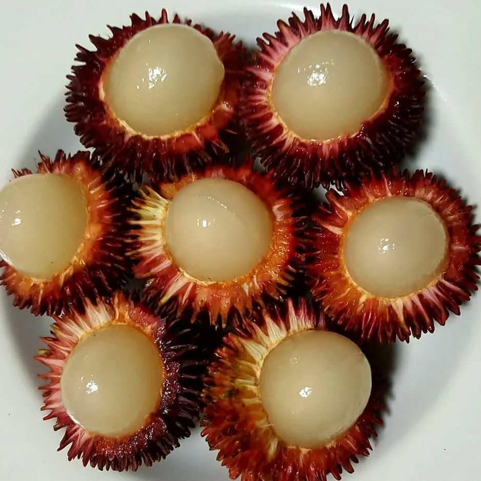 Red Pulasan Kapulasan Seeds 120++ pcs (Nephelium mutabile) | eBay