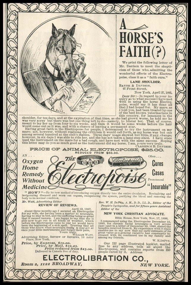 1897 Electropoise Quack Veterinary Anthropomorphic Horse Reading Book 8332 | eBay