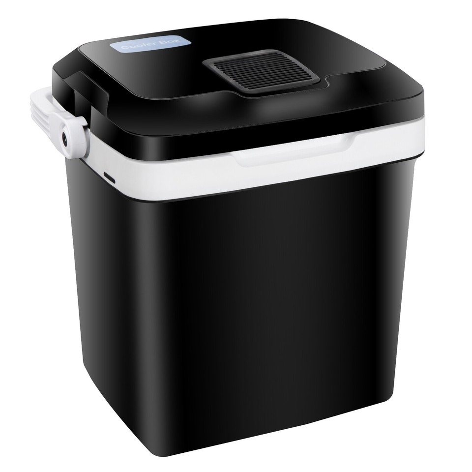 12V Electric Car Cooler & Warmer Portable Thermoelectric Fridge for ...
