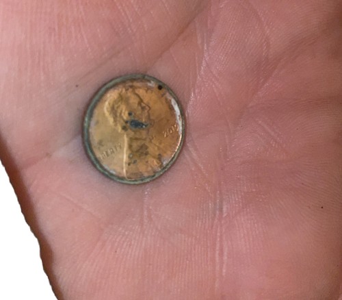 Coin 2019 Penny With Silver And Words Cut Off | eBay