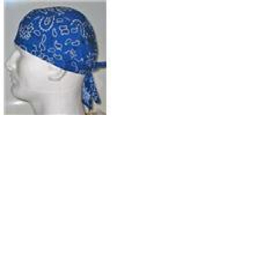 PAISLEY DOO RAG FITTED COTTON BANDANA TIES Do Du Hav A Danna Tie Skull ...