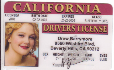 Drew Barrymore of E.T. Charlie's Angels Cinderella EVER AFTER Drivers ...