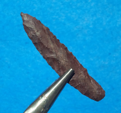 2-7/16" ARCHAIC KNIFE BLADE OREGON ARROWHEAD Authentic Projectile Point ...