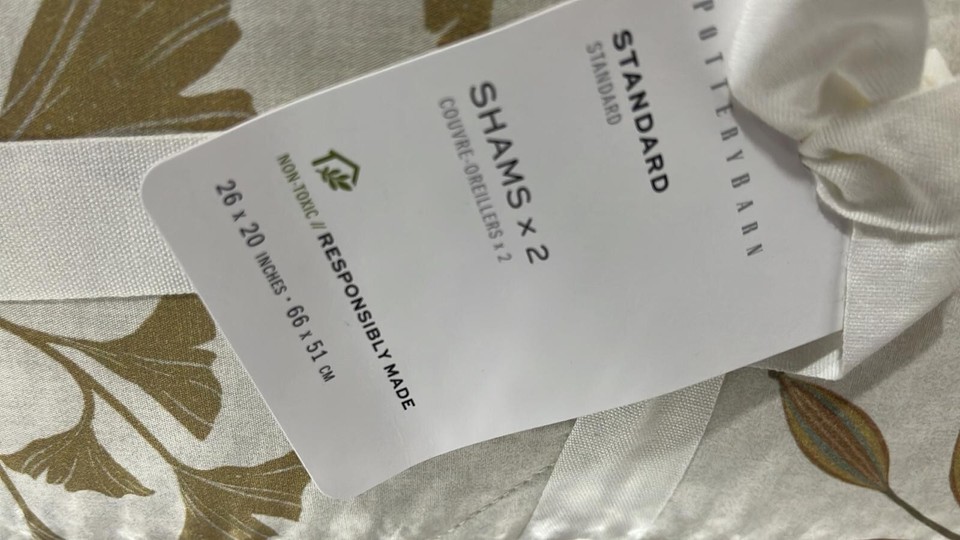 NEW Pottery OEKO-TEX Standard Sham 26 x 20 inches GREEN/ CREAM SET | eBay