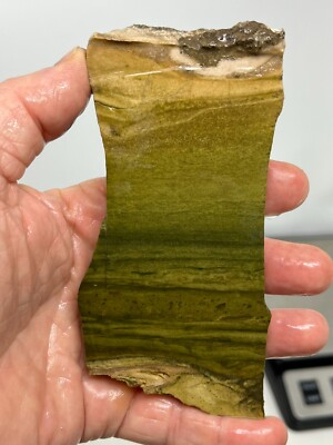 Lizard Skin Jasper slab for Cabbing Lapidary Carving Chakra Reiki | eBay