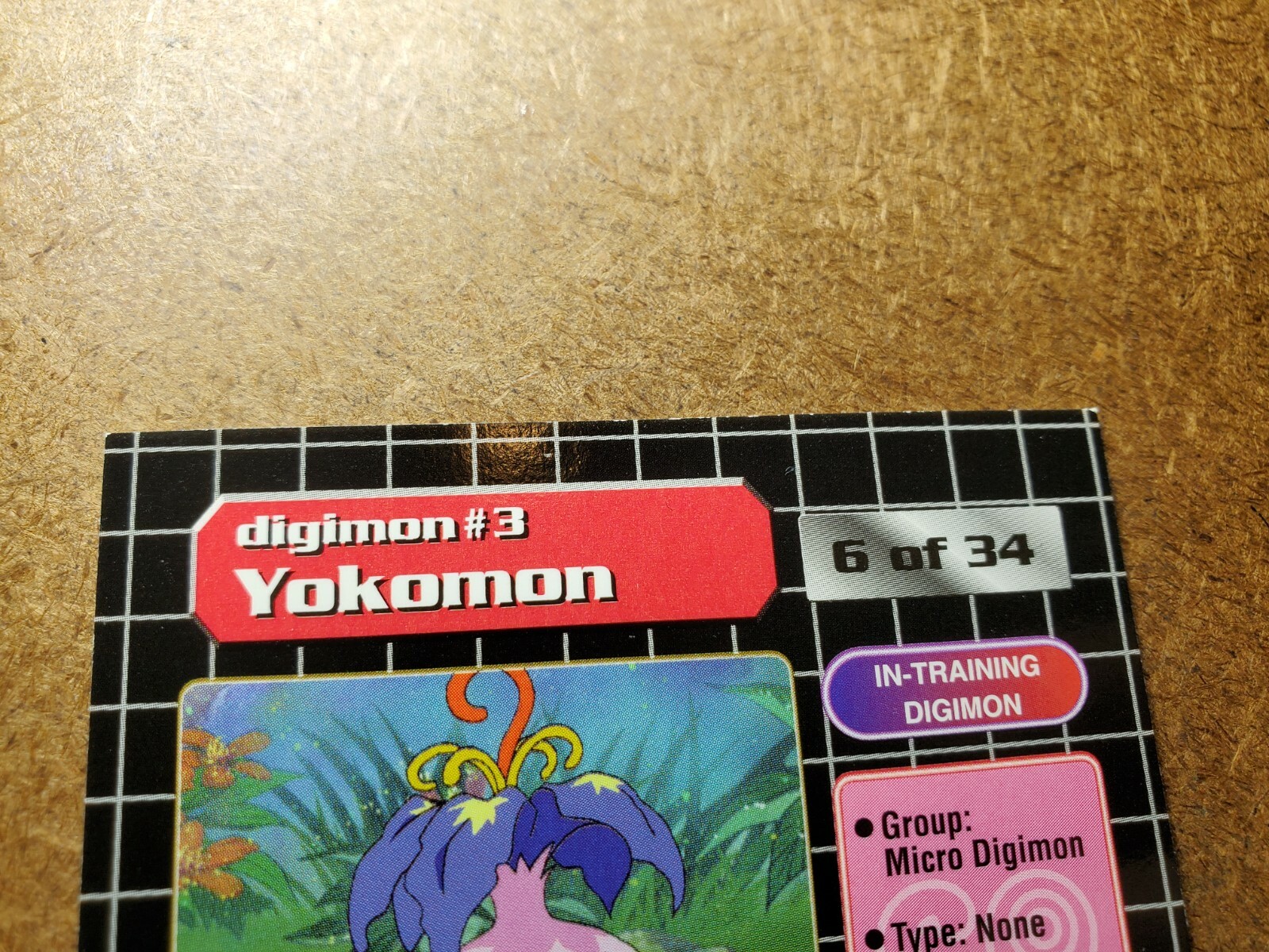 Sora & Yokomon 6/34 Digimon Trading Card Exclusive 1999 | eBay