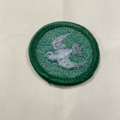 Vintage Girl Scout Achievement Patch Blue Birds Badge Round Green Gold ...