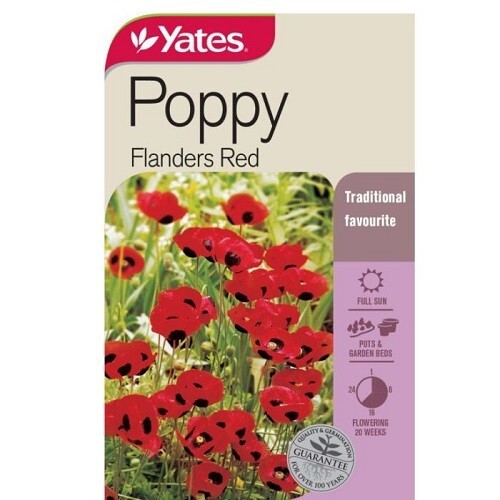 Poppy Flanders Red Yates Seeds Free Postage | eBay Australia
