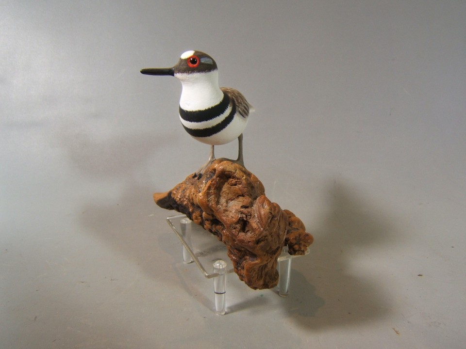 plover shore bird duck decoy John & Patty Waterfield Virginia Beach Va ...