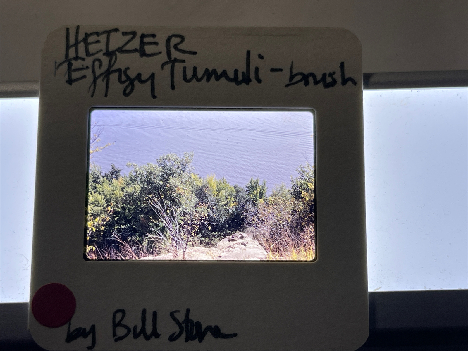 Michael Heizer “Effigy Tumuli” Land Art 35mm Slide | eBay