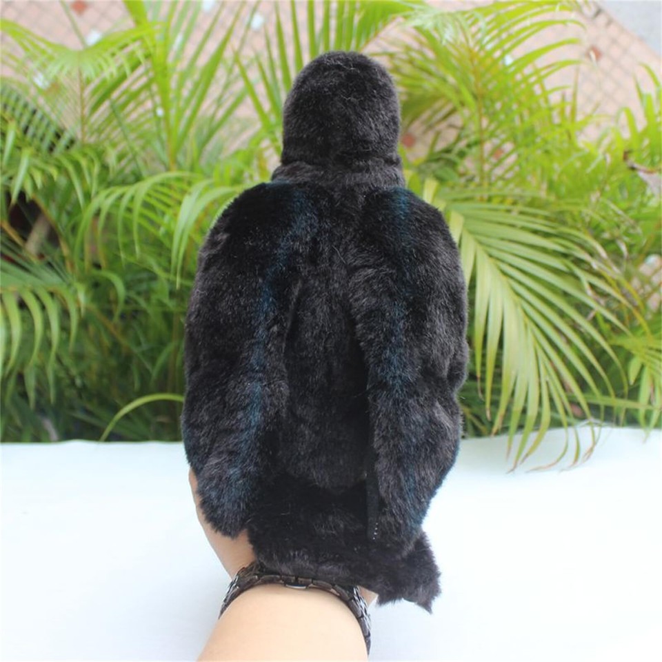 9.4'' Realistic Crow Plush Toy Cute Black Raven Plushie Soft Stuffed ...