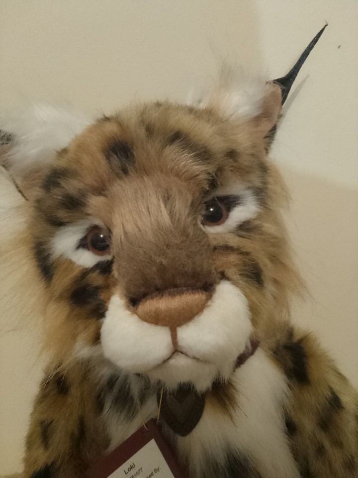 Charlie Bears Loki | eBay