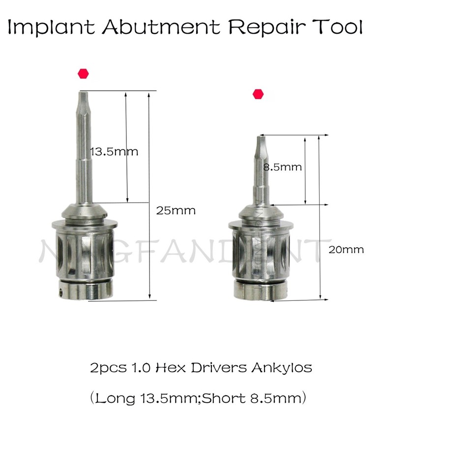 Ankylos Dental Torque Wrench Manual Adapter Implant Screwdrivers Hex 1. ...