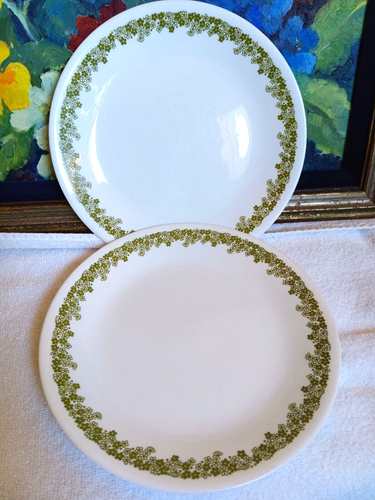 Corelle Green Crazy Daisy Spring Blossom Luncheon Salad Plates 8.5 ...