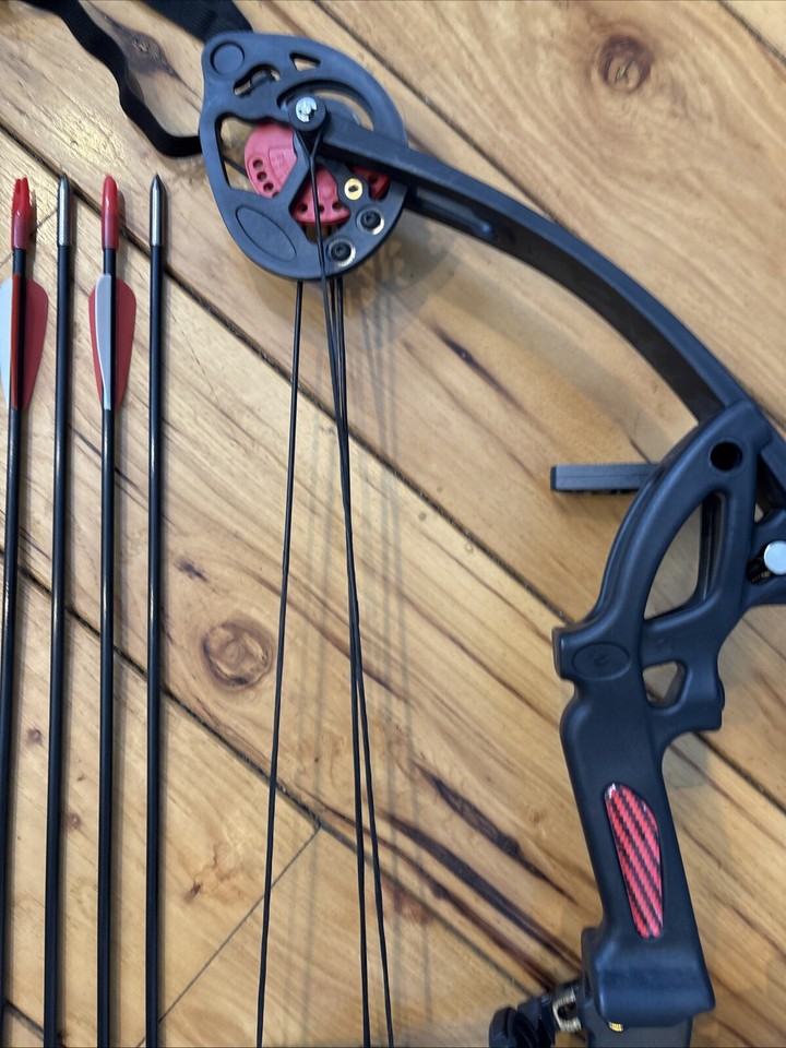 DUKE VI PANDARUS Compound Bow Archery Set Right Hand Draw | eBay