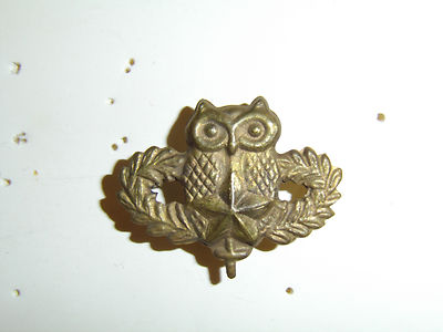 b9512 Vietnam Era Australian Army Recon Badge Metal Owl IR17C | eBay
