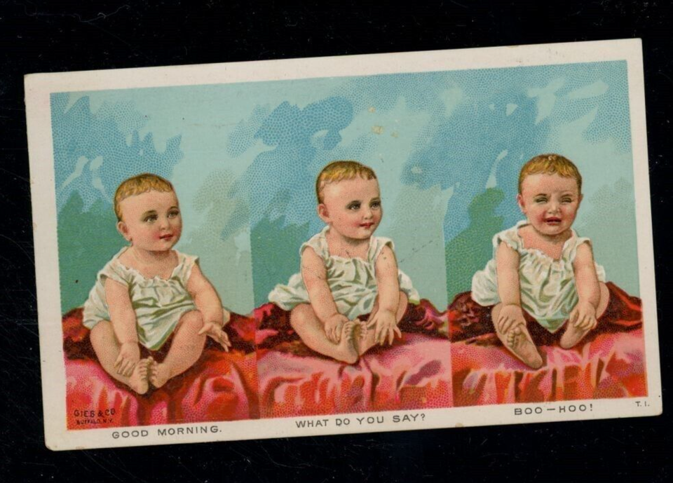 1887 Little Dandy Cortland Card and Carriage Co. Advertising Card | eBay