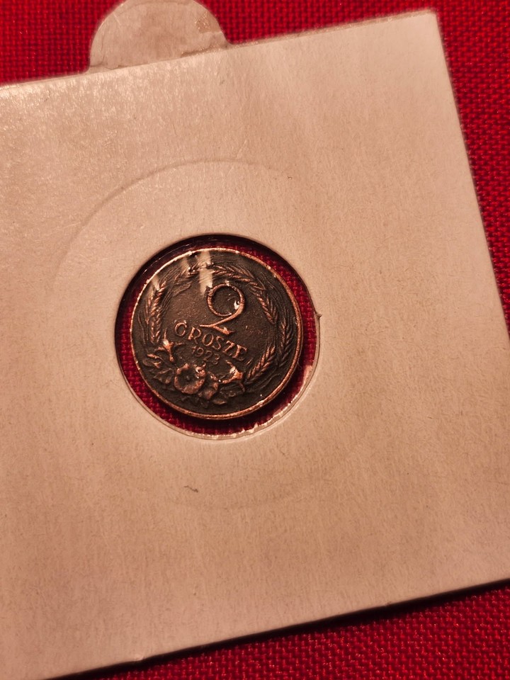 Very rare Polish 2 grosz attempte coin from 1923 | eBay