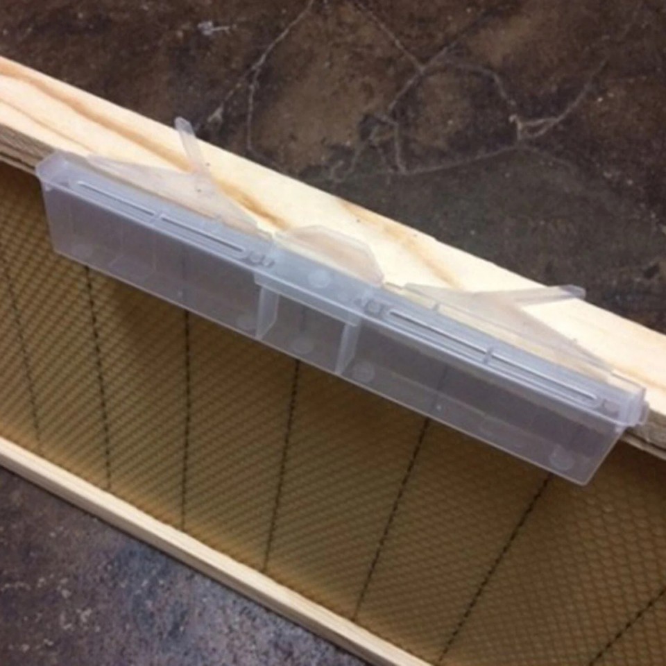 10Pc Bee Hive Beetle Trap Clear Plastic Reusable Trap for Hive Beetle ...