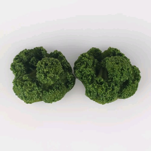 2 Nasco Life Form Replica Faux Food Broccoli Display Prop Nutrition | eBay