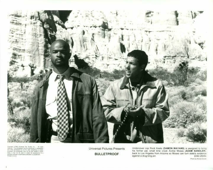 Damon Wayans Bulletproof
