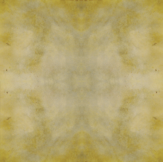 Concrete Resurrection Reactive Acid Concrete Stain 12 Bottle Sample Kit ...