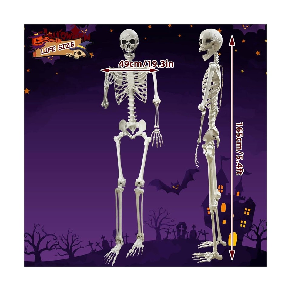 Lodou 5.4Ft Posable Life Size Human Adult Skeletons Plastic Human Bones ...