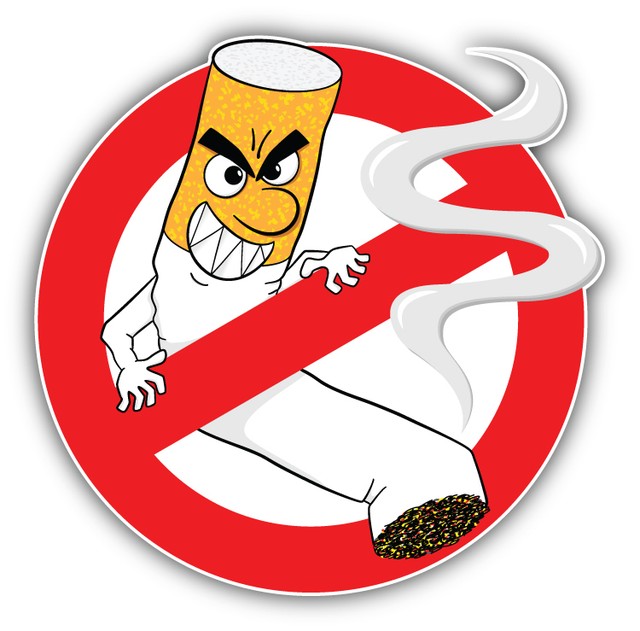 No Smoking Area Warning Sign Car Bumper Sticker Decal 5" x 5" | eBay