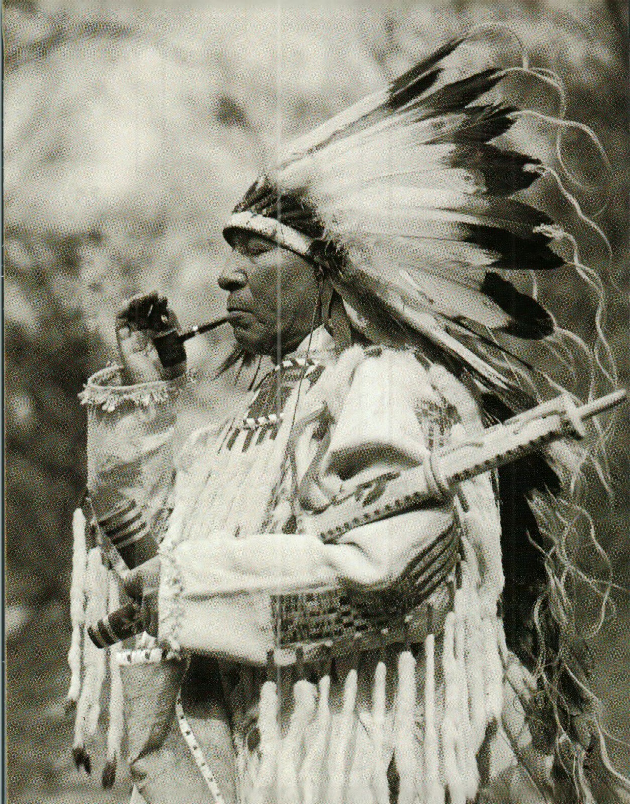 *Indian-"Indian Chief Whirlwind Soldier...Smoking Pipe" (Postcard)- {S2 ...