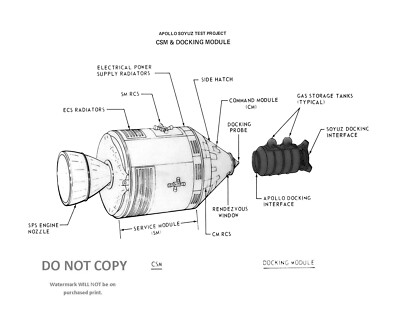 REPRINT ILLUSTRATION APOLLO SOYUZ CSM & DOCKING MODULE 8X10 NASA PHOTO ...