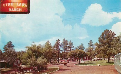 Postcard Arizona Prescott Pine Lawn Ranch 1950s Riggins Dexter 23-2608 ...