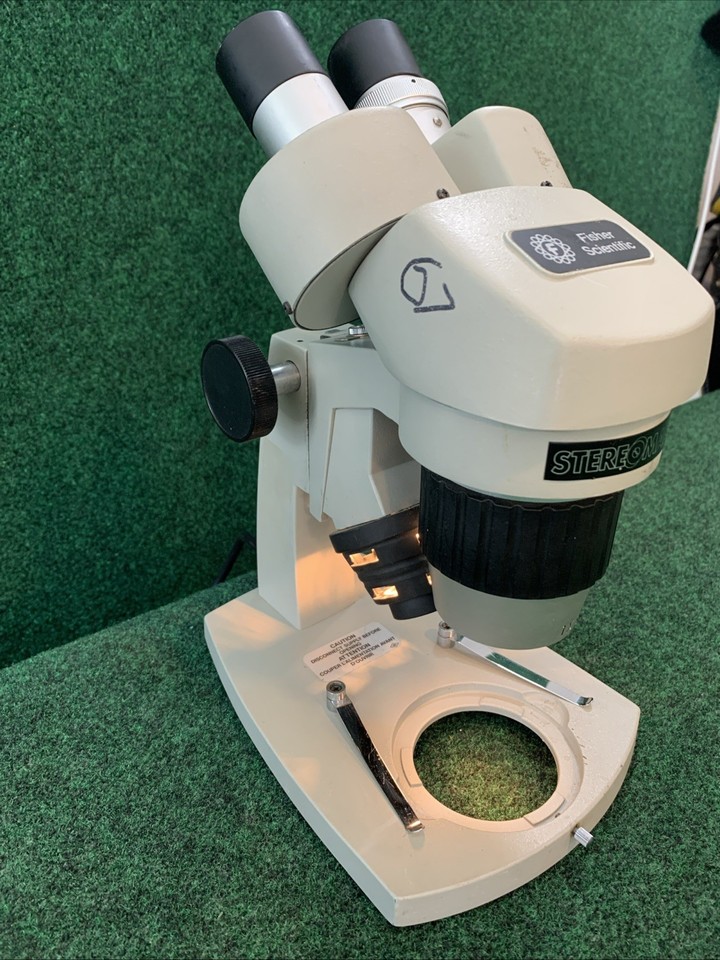 Fisher Scientific Stereomaster II Microscope SPT-IH W/ SW10X Eyepieces ...