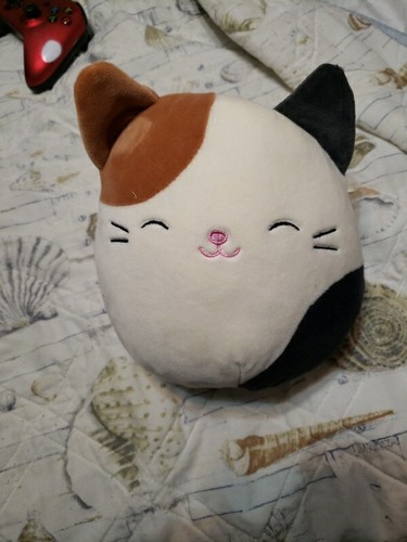 Rare Squishmallow Cam Cameron The Cat Plush Toy | eBay