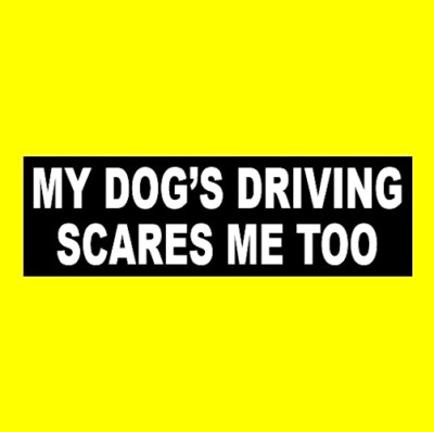Funny "MY DOG'S DRIVING SCARES ME TOO" warning decal BUMPER STICKER bad ...