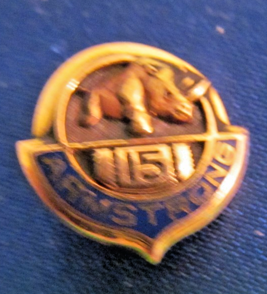 Armstrong Rhino Tough 15 year service award pin marked 10k back pin ...