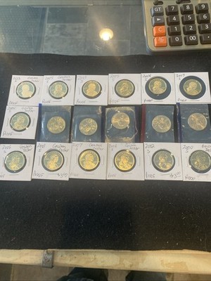 18 Golden Indian Proof And UNC Dollars | eBay