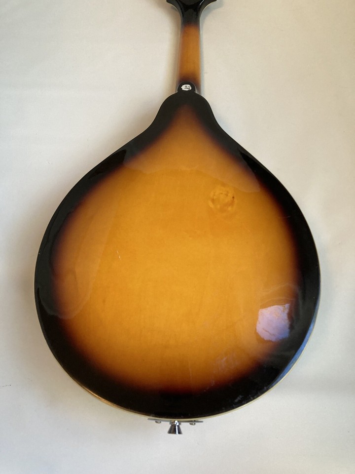 Rogue Fine Instruments RM-100A A-Style Mandolin Sunburst EUC | eBay