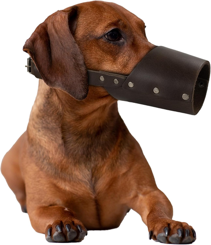 , Leather Dog Muzzle Guard, Secure, Prevents Biting Chewing, Pitbull ...