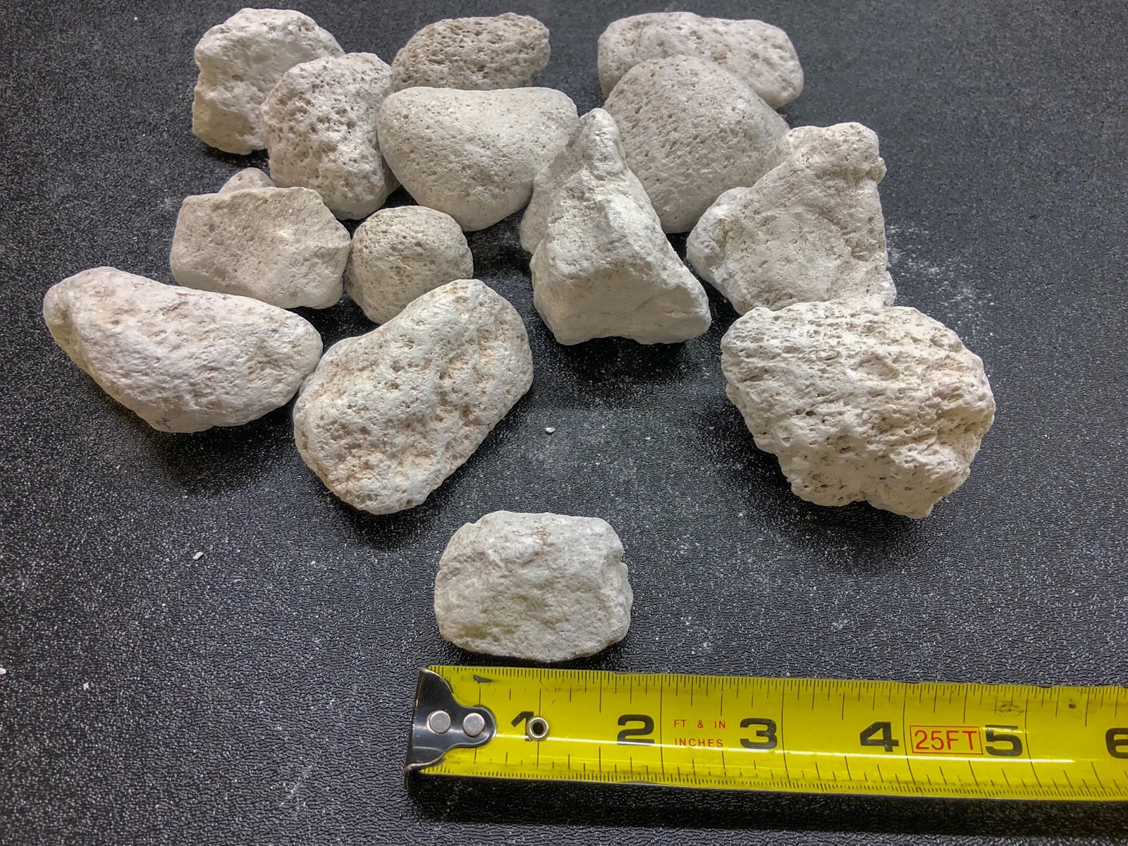 1 gal Premium Quality Pumice Filter Media for Koi Pond, Bakki Shower ...