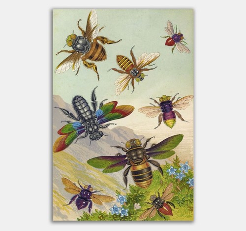 Exotic Bees Art Print 1870s Colorful Poster Botanical Illustration ...