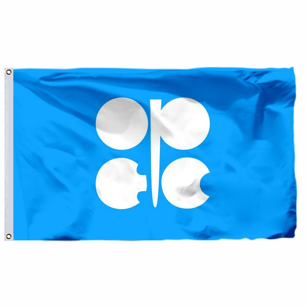 International Flag 3X5FT Group of 77 WTO APEC OPEC UNPO NATO Comecon ...