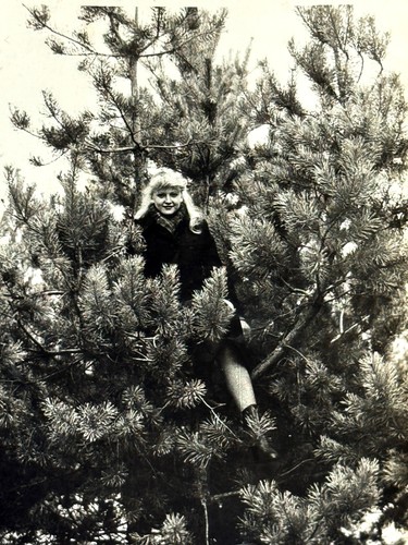 Blonde Girl Climbing Pine Tree B&W Photo Retro 1983 | eBay