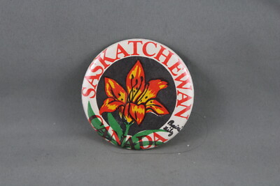 Vintage Tourist Pin - Saskatchewan Tiger Lily Flower - Celluloid Pin | eBay
