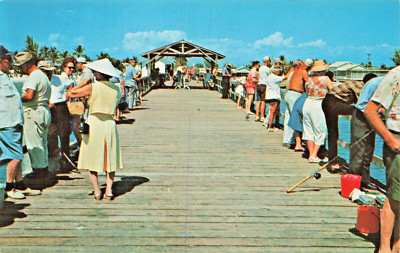 FORT MYERS BEACH FLORIDA-CROWDED FISHING PIER~1966 PMK POSTCARD | eBay