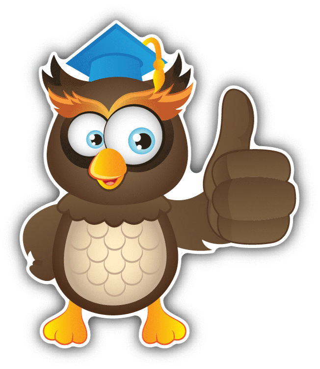 Owl Thumbs Up Sign Car Bumper Sticker Decal 4" x 5" | eBay